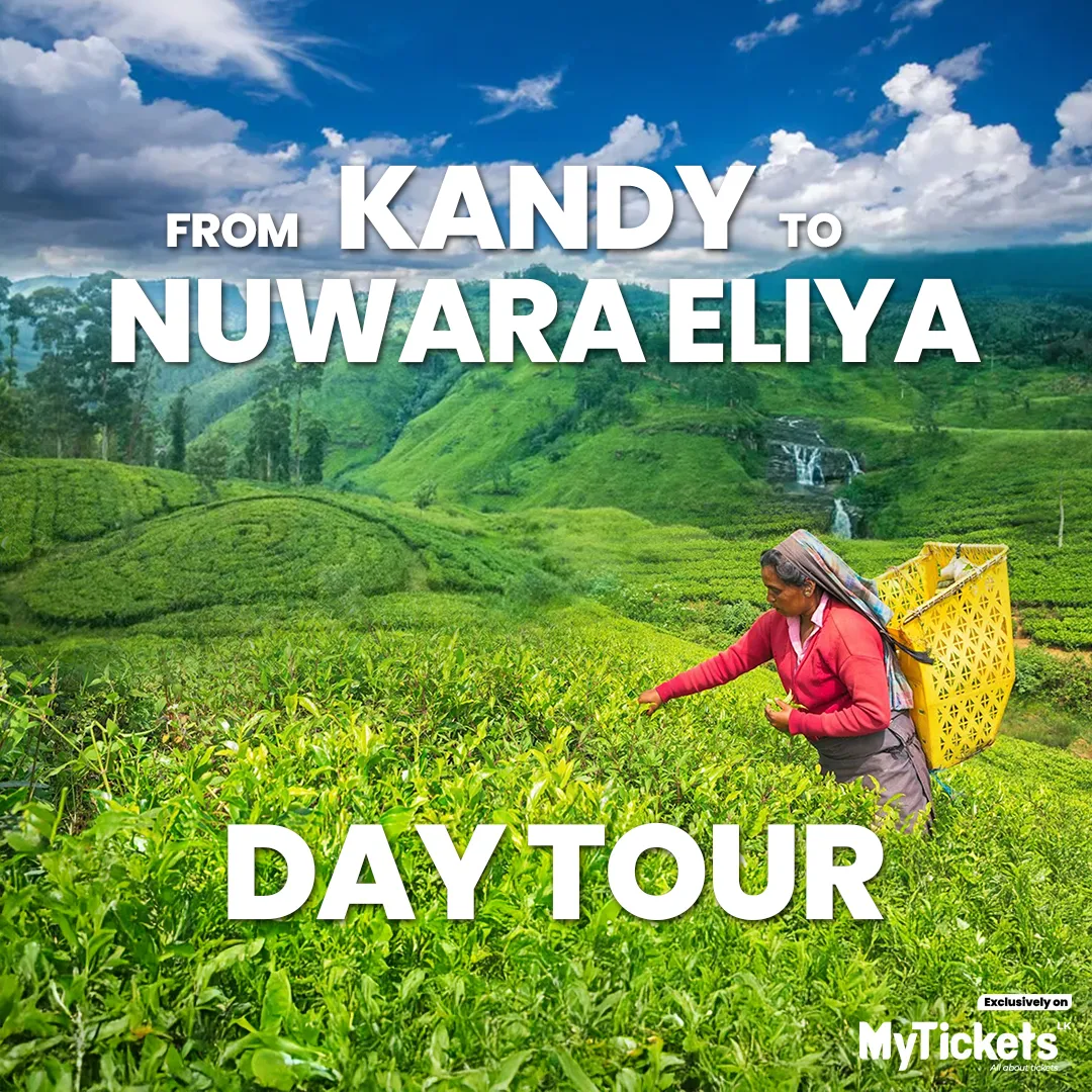 MyTickets | Official Online Tickets Marketplace in Sri Lanka